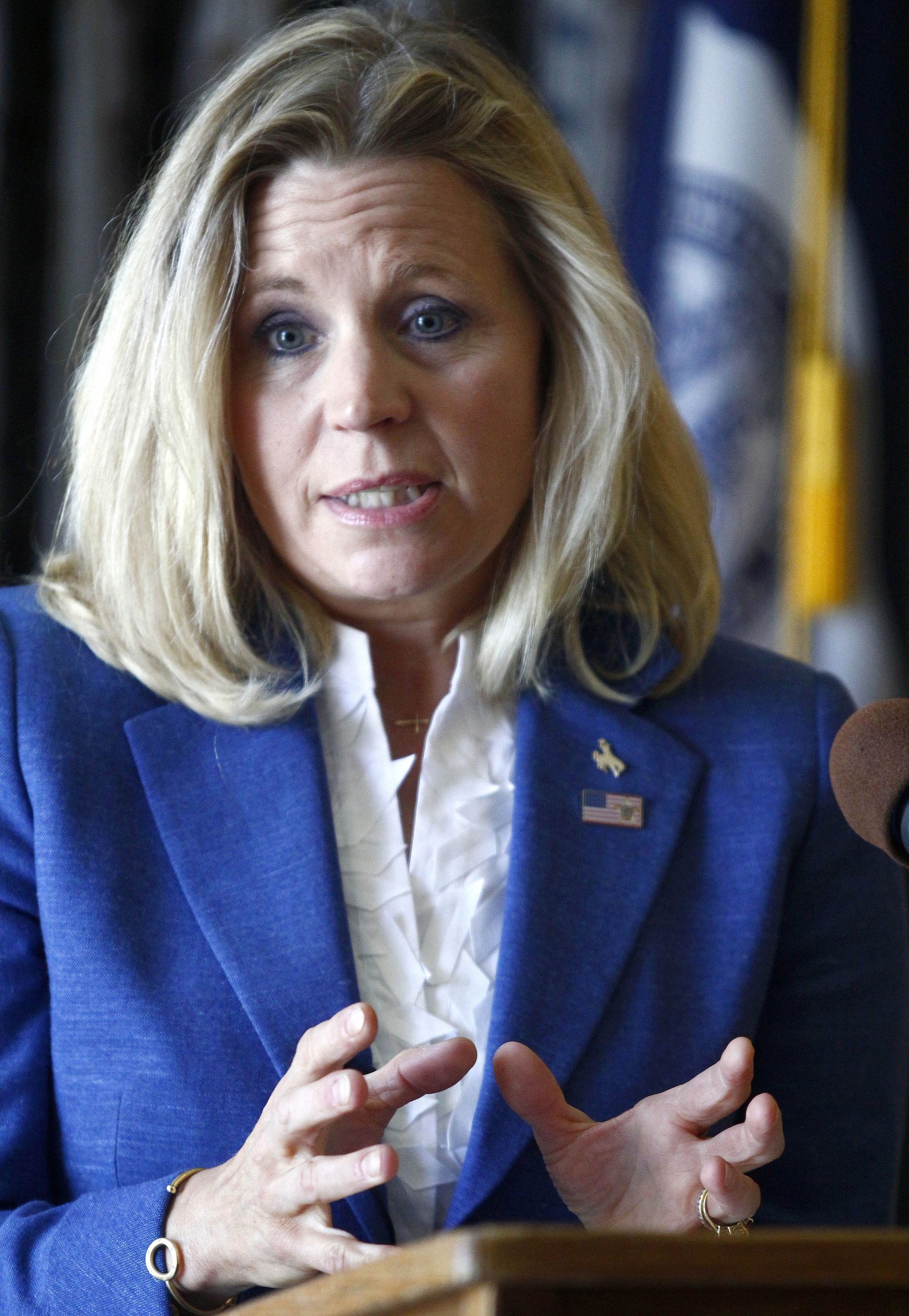 Mary Cheney's Instagram, Twitter & Facebook on IDCrawl