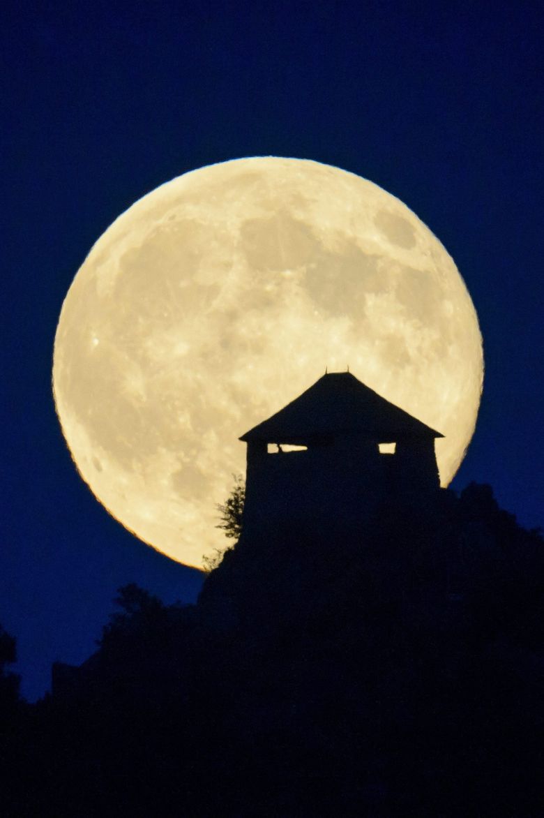 Photos of the Day: July 14, 2014 | The Seattle Times