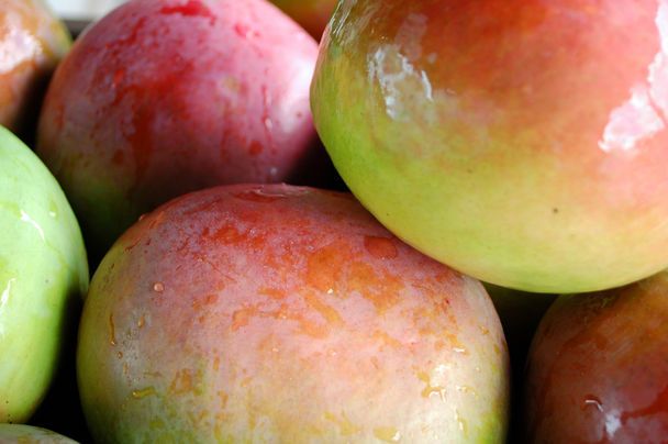 Mango Allergy Latex Clearance | emergencydentistry.com