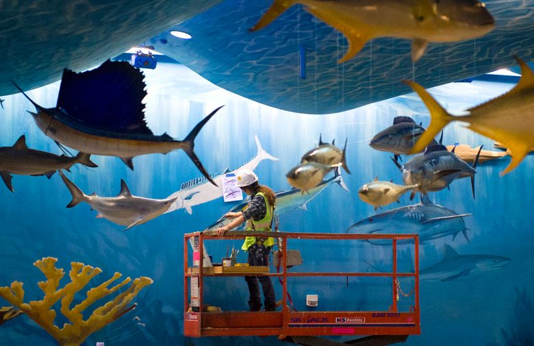Memphis hopes hunting & fishing can rescue troubled Pyramid | The ...