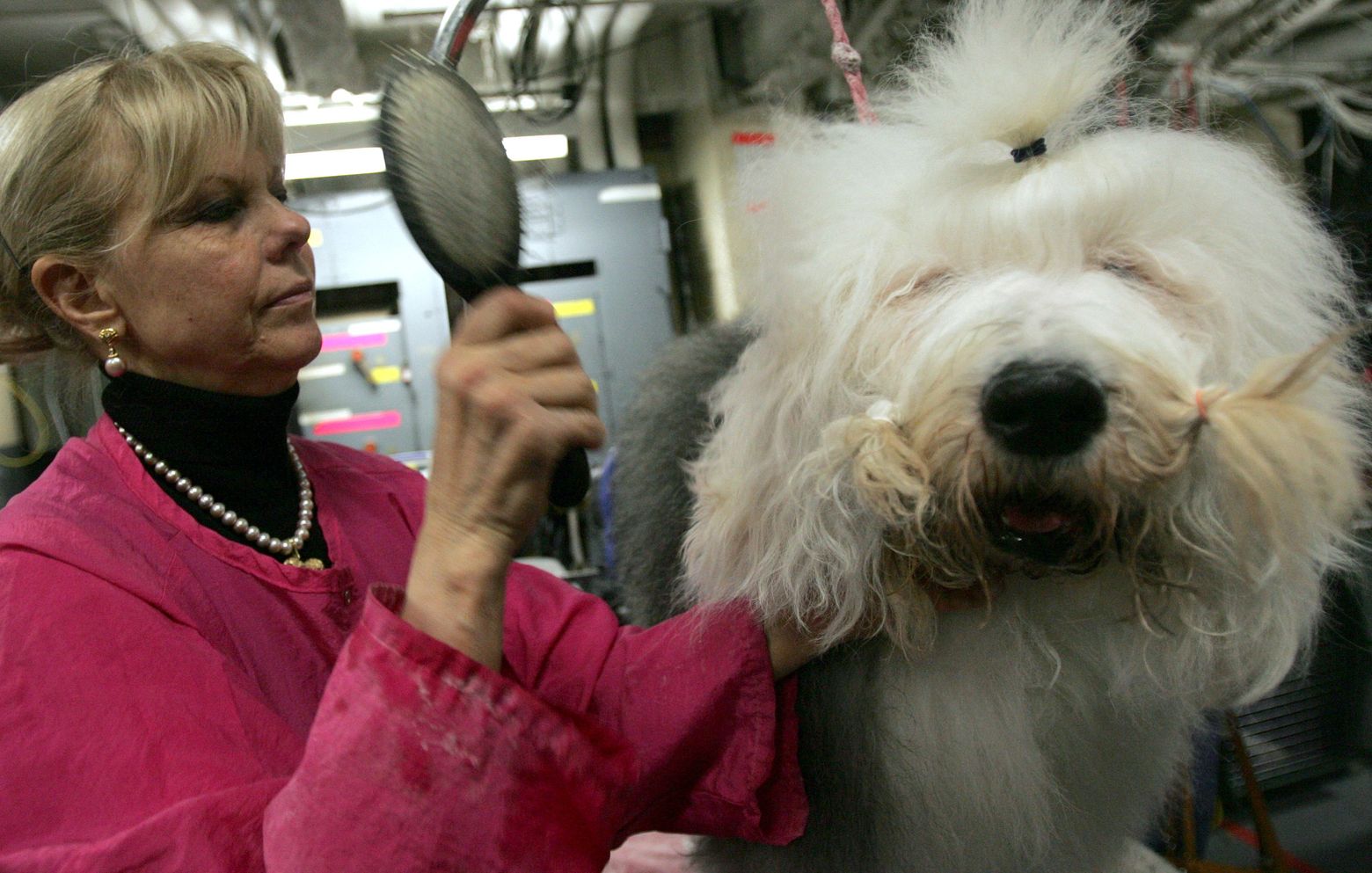 Claire Suddath | The Seattle Times