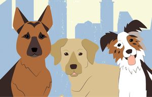 Mapping the dogs of Seattle | The Seattle Times