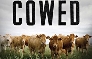 ‘Cowed’: The end of the line for cornfed cattle? | The Seattle Times