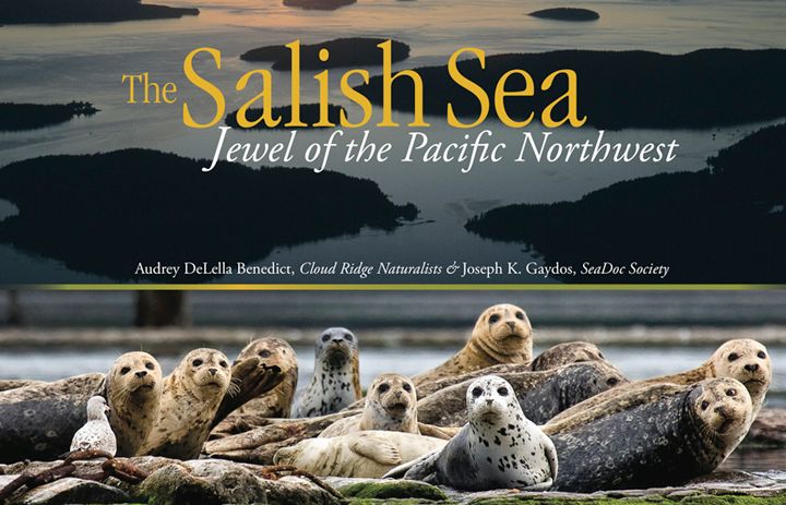 Joseph K. Gaydos | The Seattle Times