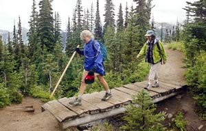 Rainier halts Wonderland Trail reservations after record requests | The ...