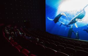 Boeing IMAX Theater reopens with laser-powered technology | The Seattle ...