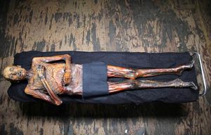 Ye Olde Curiosity Shop’s mummy stars in Smithsonian TV show | The ...