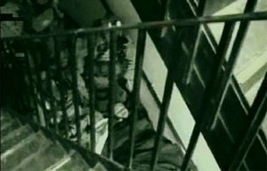 Navy SEAL Team 6: bigger, bolder, just as secretive | The Seattle Times