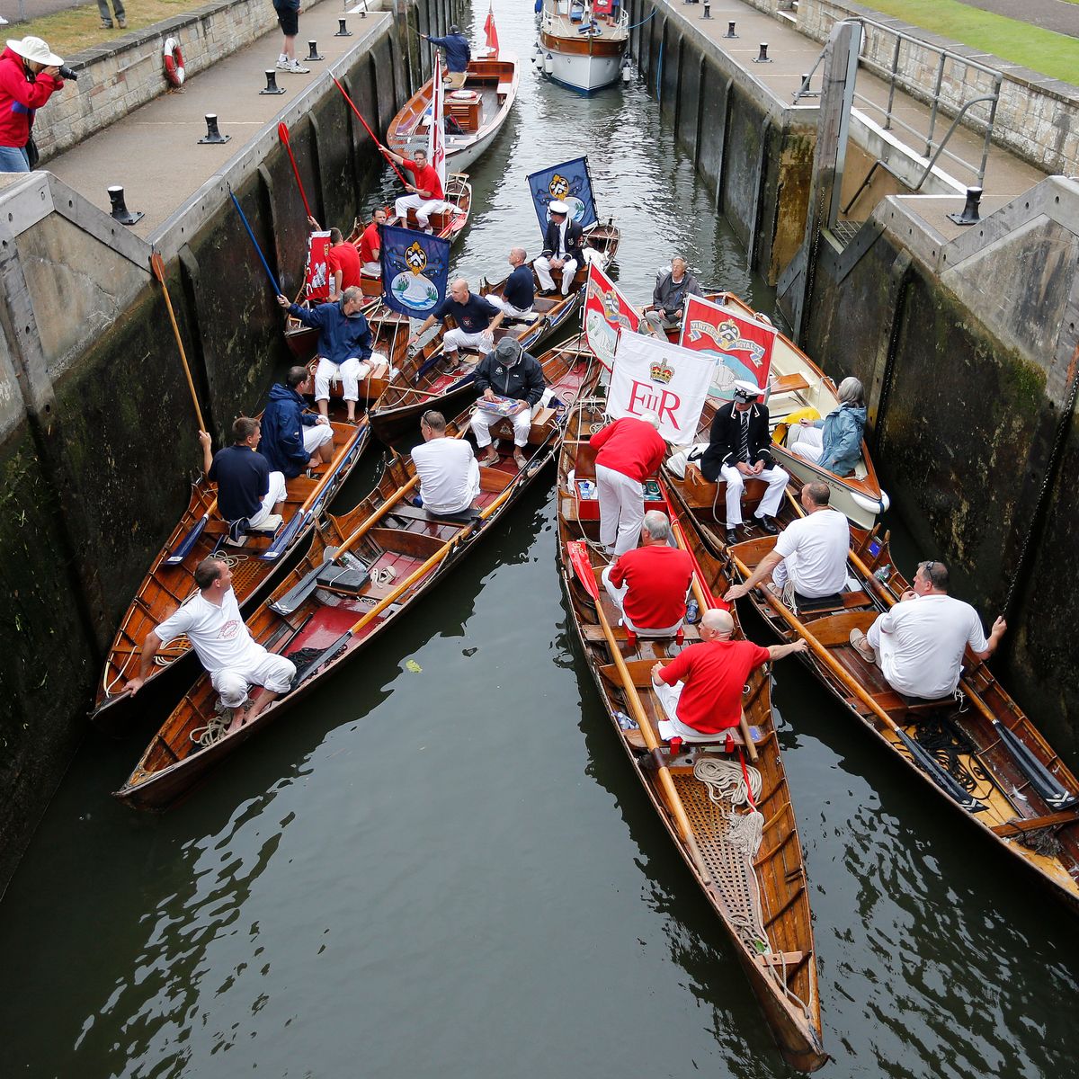 Teams on the Thames count the monarch’s swans | The Seattle Times