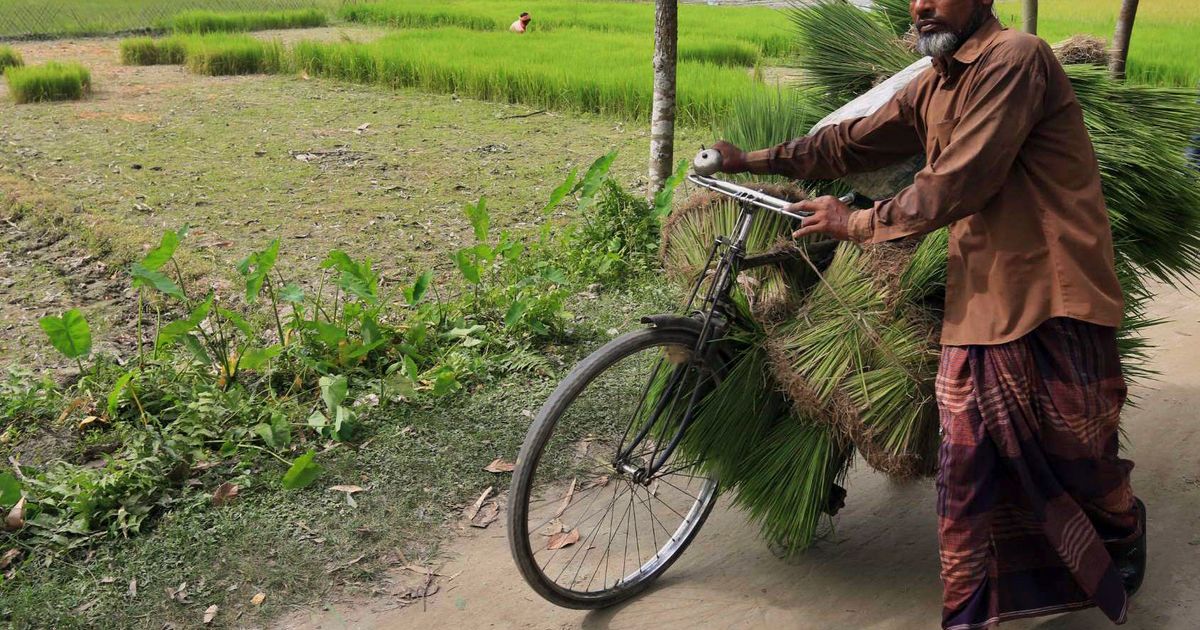 India, Bangladesh swap border enclaves, settle old dispute | The ...