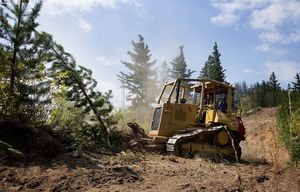 Firefighters using controlled burns to tame Wolverine fire | The ...