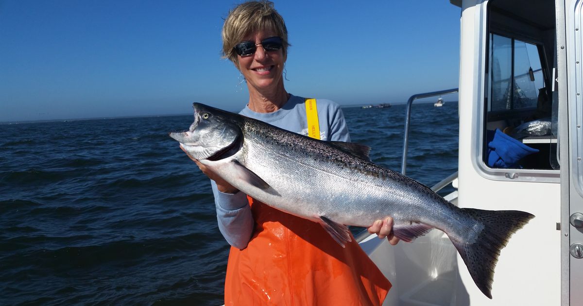 Hot action for kings and coho at Buoy 10 on Lower Columbia mouth | The ...