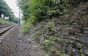 Radar detects object believed to be missing Nazi gold train | The ...