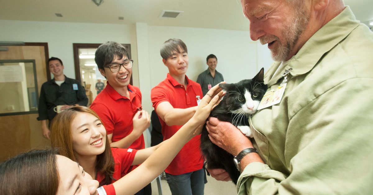 South Korean students visit Larch, study inmate-cat program | The ...