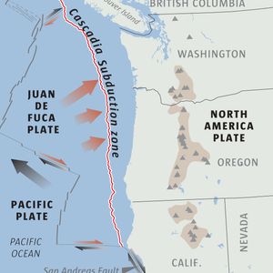 Cascadia fault chatters and pops with little quakes | The Seattle Times