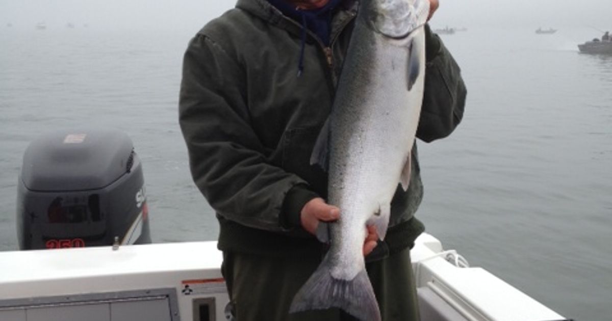 Both wild and hatchery coho become fair game off the coast starting ...