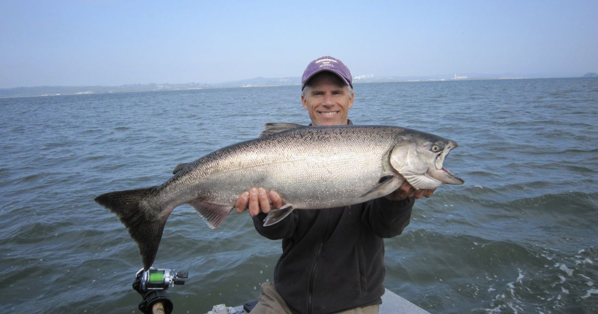 Lower Columbia summer chinook catch is the largest in more than 50 ...