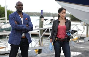 Dynamic male-female duos are having a moment on TV this fall | The ...