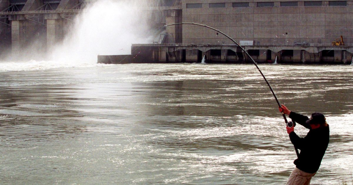 Snake River opening soon for an expected decent return of spring ...