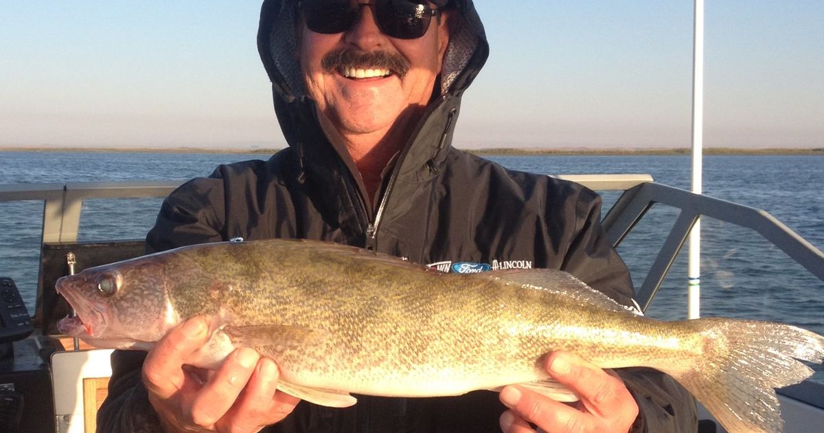 Daily catch and size limits removed in the Columbia River starting ...