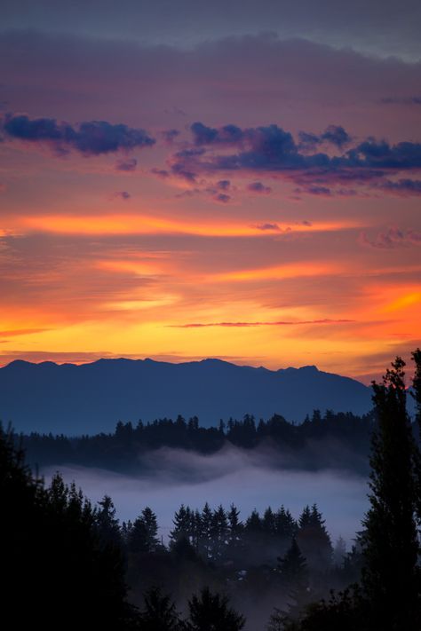 A colorful sunrise | The Seattle Times