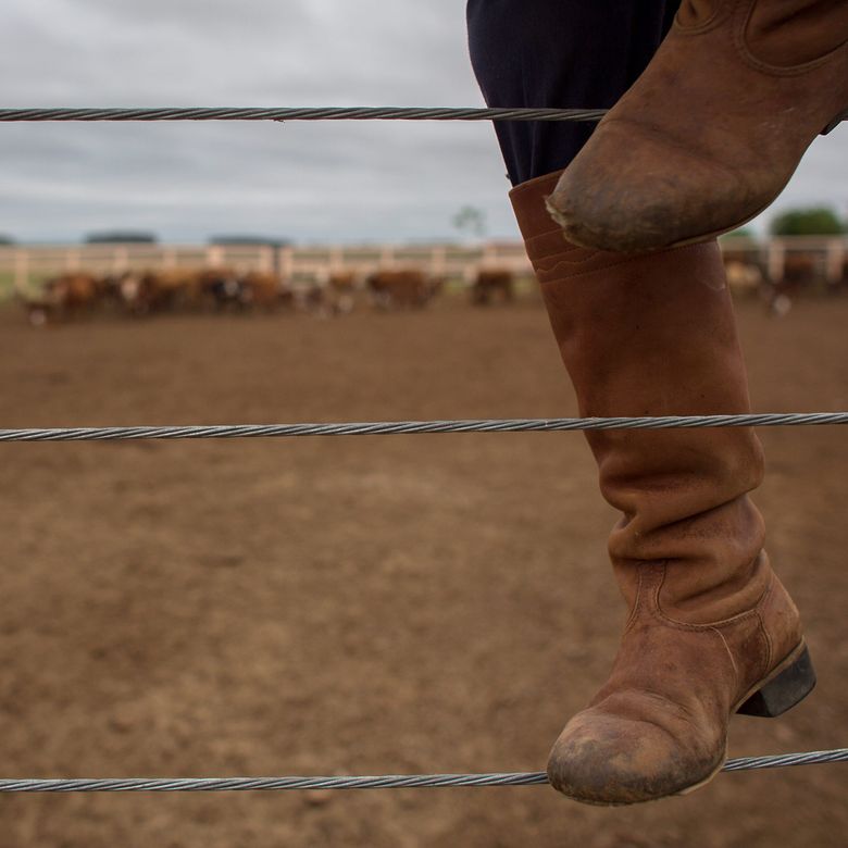 Photos: Brazil Cowboy Culture | The Seattle Times