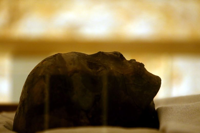 Did They Ever Find Nefertiti's Tomb