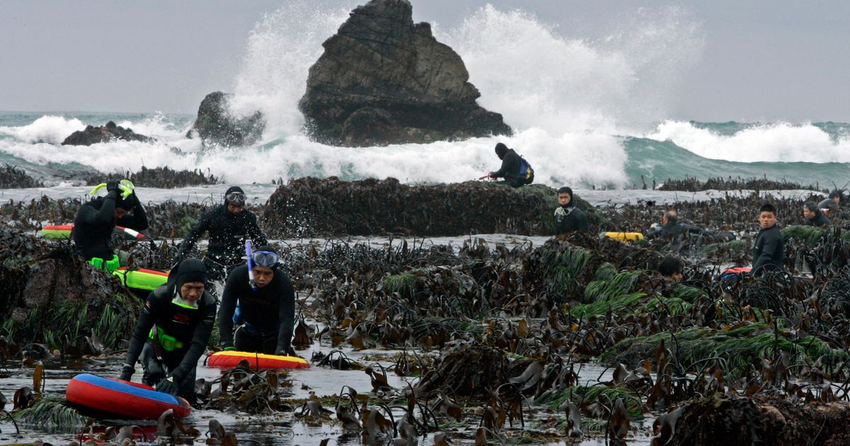 Body of abalone diver found along Northern California coast | The ...