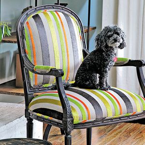 Jennifer Forker | The Seattle Times