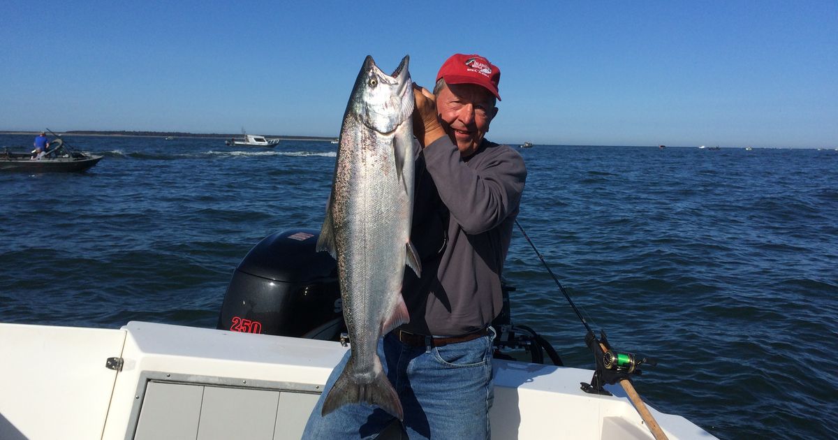 Columbia River fall chinook return from Aug. 1-Oct. 31 breaks old ...