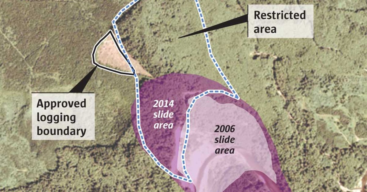 Judge: Timber firm must face lawsuits in Oso slide disaster | The ...