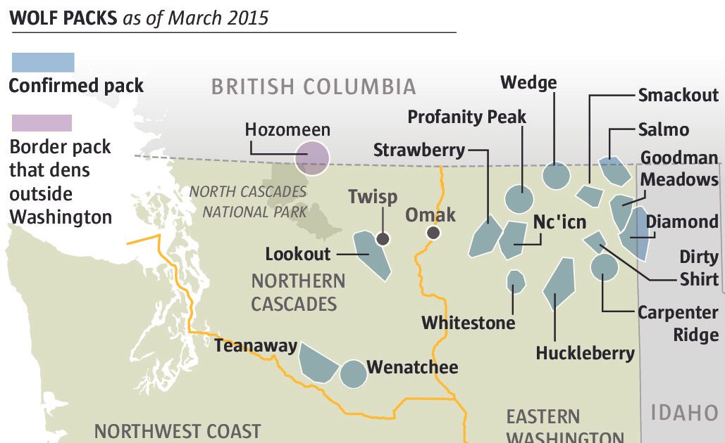New wolf pack in Washington | The Seattle Times