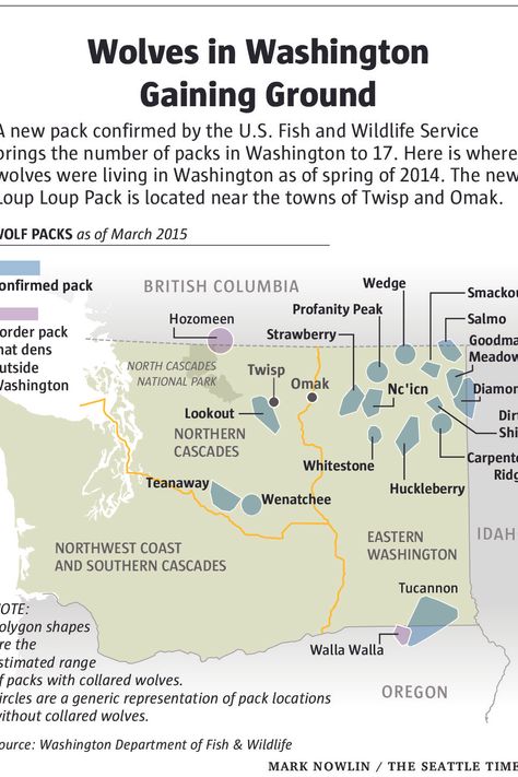 New wolf pack in Washington | The Seattle Times
