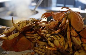 Oregon and Washington delay crab season because of toxin | The Seattle ...
