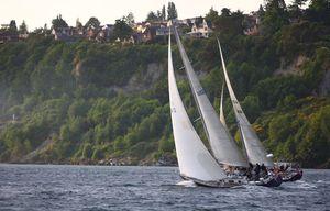 Magnolia stands out on hilly peninsula | The Seattle Times