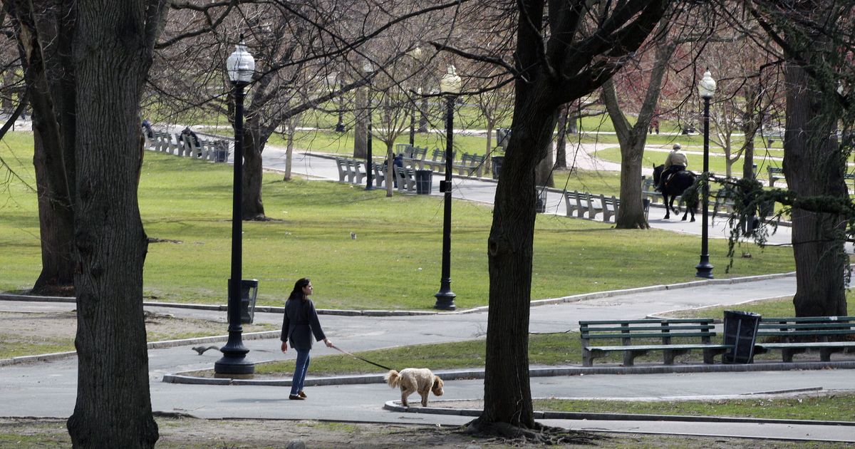 Wicked cool stuff, old and new, to do in Boston | The Seattle Times