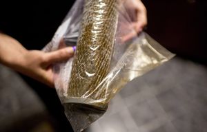 Flint water crisis: A look at lead exposure and its irreversible damage ...