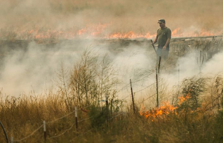 Peter Goldmark | The Seattle Times