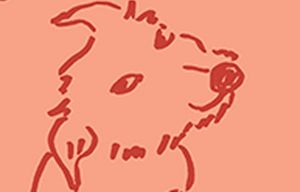 Maira Kalman’s ‘Beloved Dog’: a canine lover’s companion | The Seattle ...