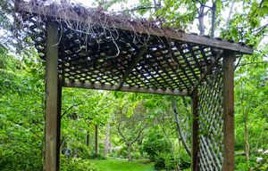 How to use visual tricks to design a more satisfying garden | The ...