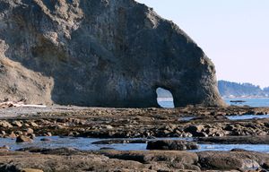 5 favorite winter hikes on the Washington coast | The Seattle Times