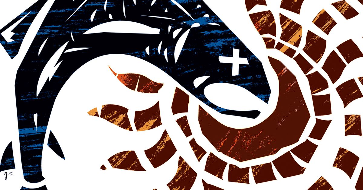 State should stop fighting the tribes and help with salmon recovery ...