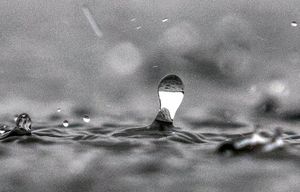 As rain falls, so does Seattle’s record for wettest wet season ever ...