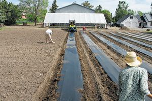 Welcome to the ‘agrihood’: homes built around working farms | The ...