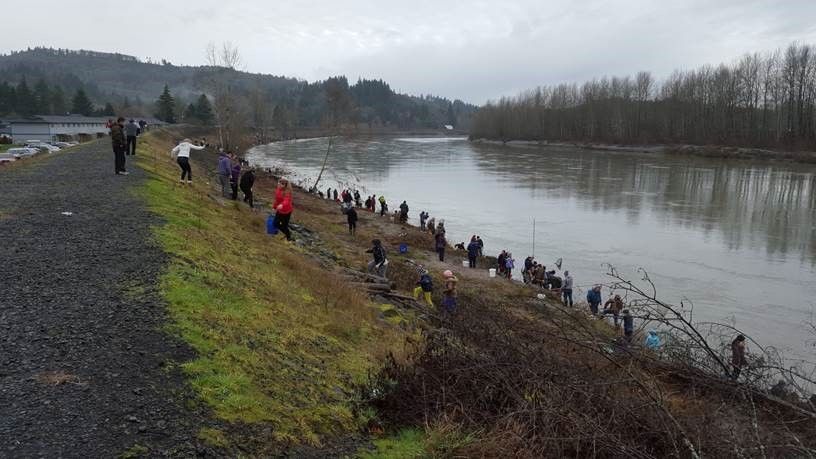Columbia River smelt run similar to last year, Cowlitz sport dip-net ...