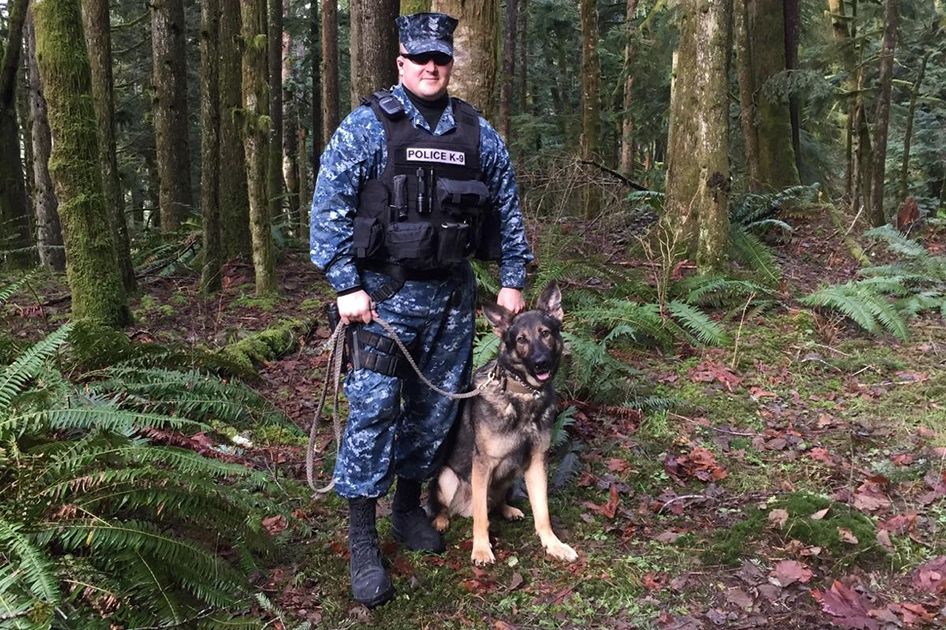 Joshua Johnson’s cool job supervising working-dog teams in the Navy ...