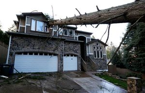 Man killed, toddler survives after falling tree crushes car in Seward ...