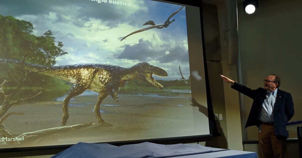 Fossil find sheds light on how evolution produced T. rex | The Seattle ...