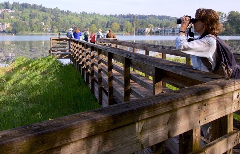 Pick a park for an Eastside bird-watching walk, from Bellevue to ...