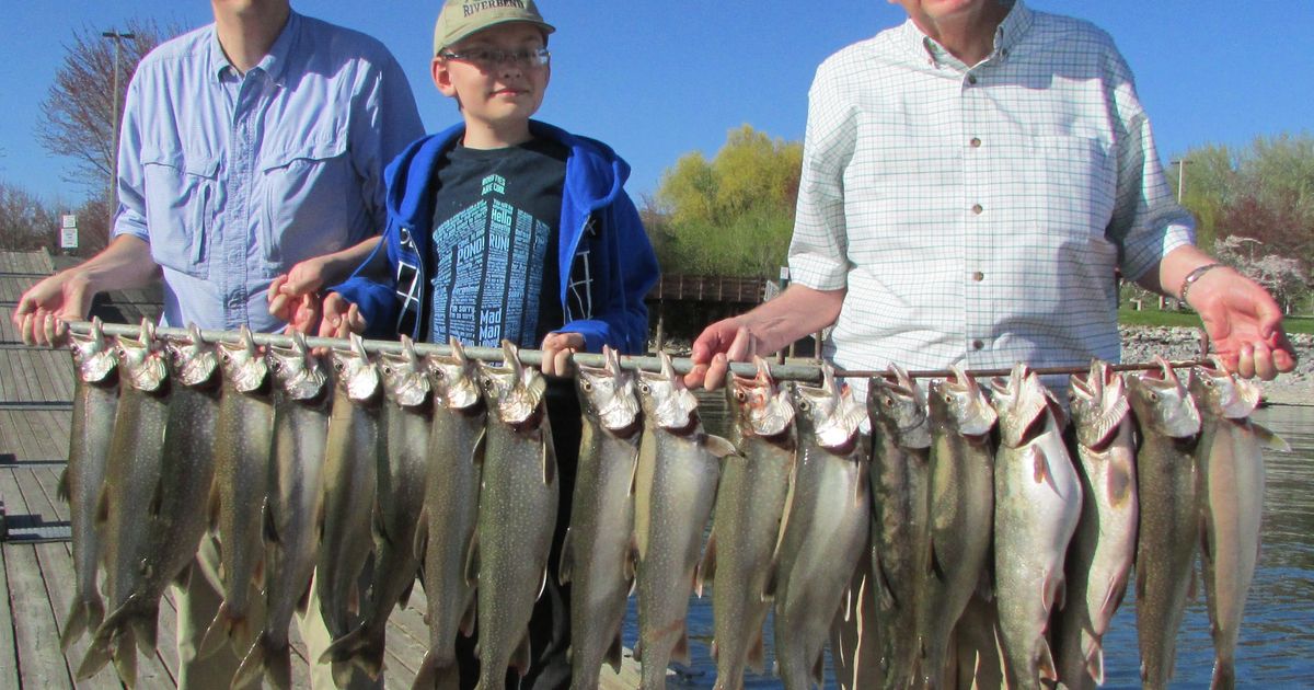 Good catches of lake trout and cutthroat, but spotty for kokanee in ...